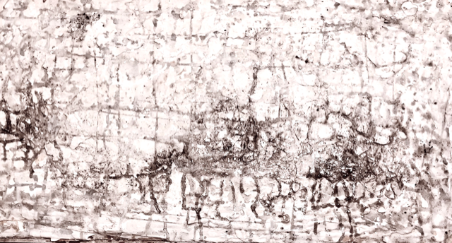 Program – Helga Varden